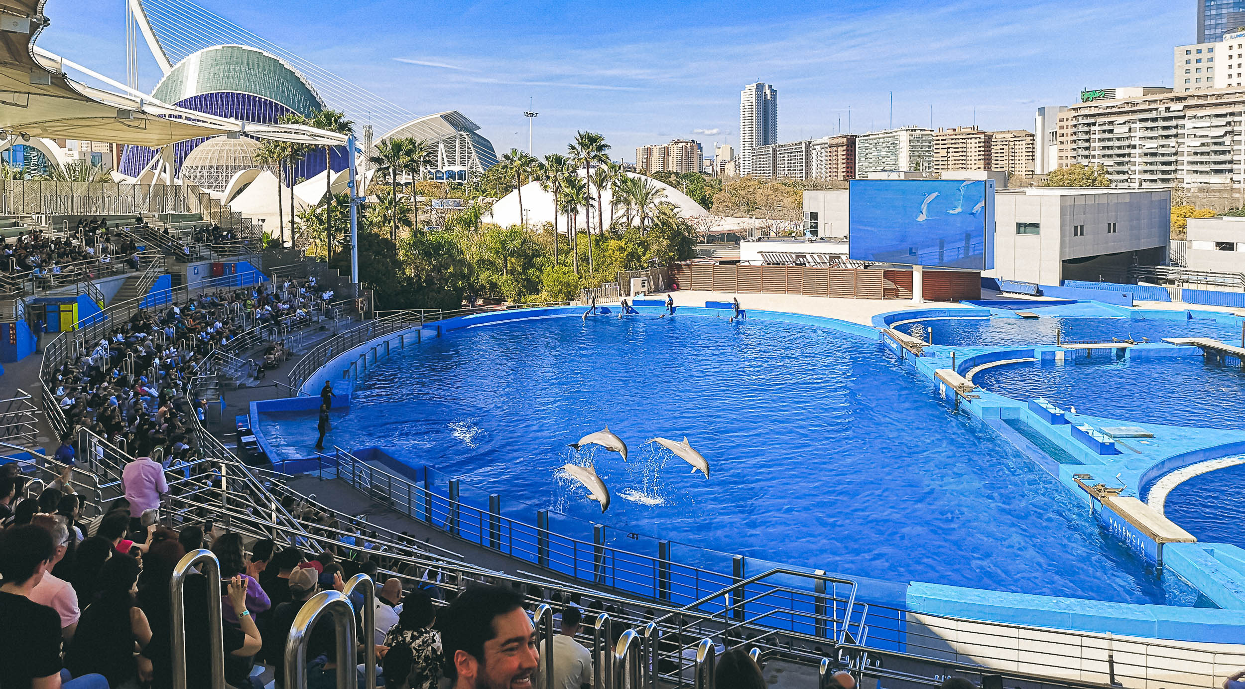 Discover the Oceanografic of Valencia - Largest Aquarium in Europe